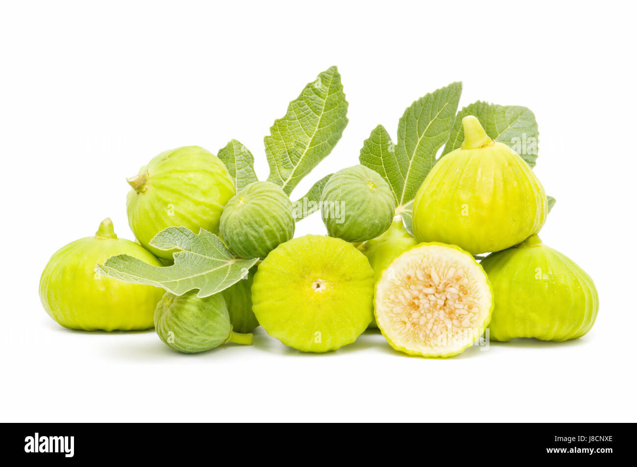 agriculture, farming, progenies, fruits, fig, figs, lawn, green, food ...