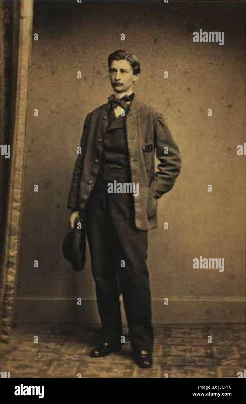 Gustav Wedell Wedellsborg by F.F. Petersen Stock Photo - Alamy