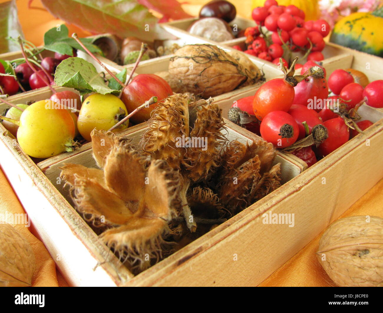 collecting box with walnuts,chestnuts and other fall fruits Stock Photo ...
