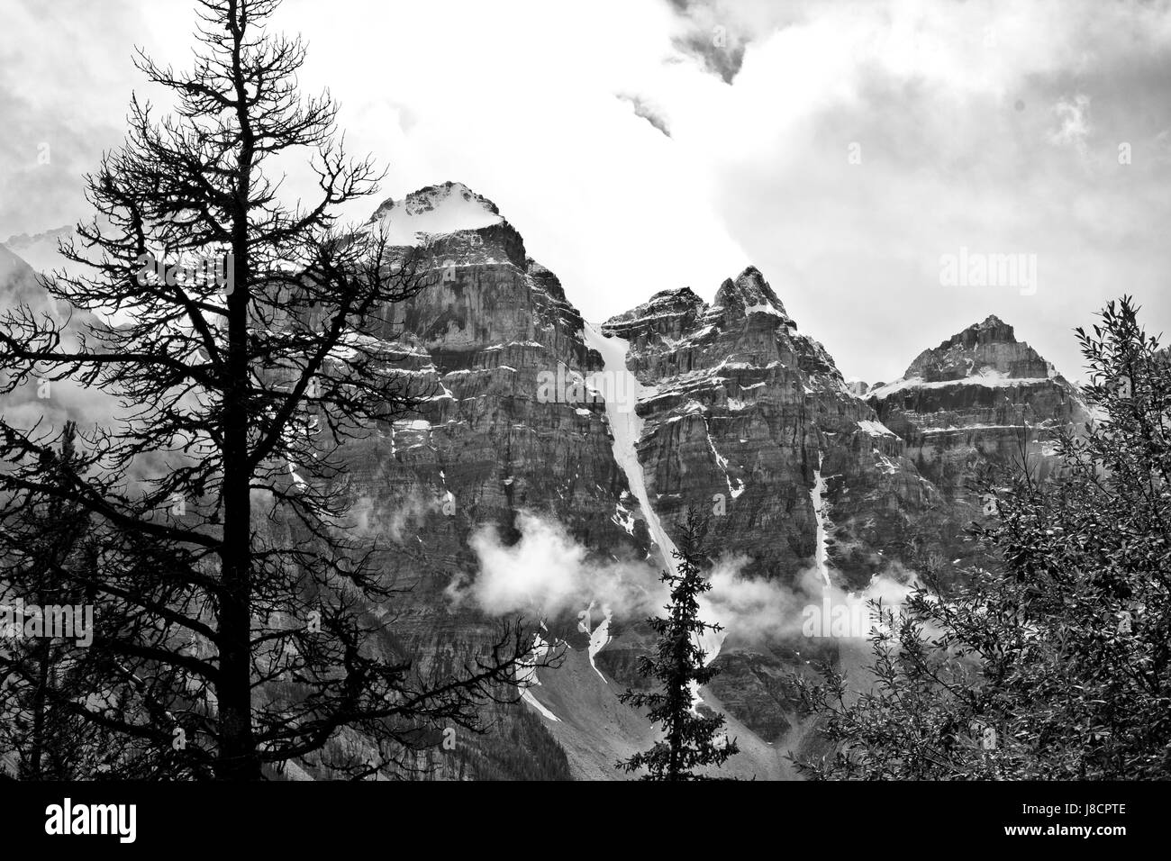 tree, trees, mountains, canada, seasons, landscape, scenery ...