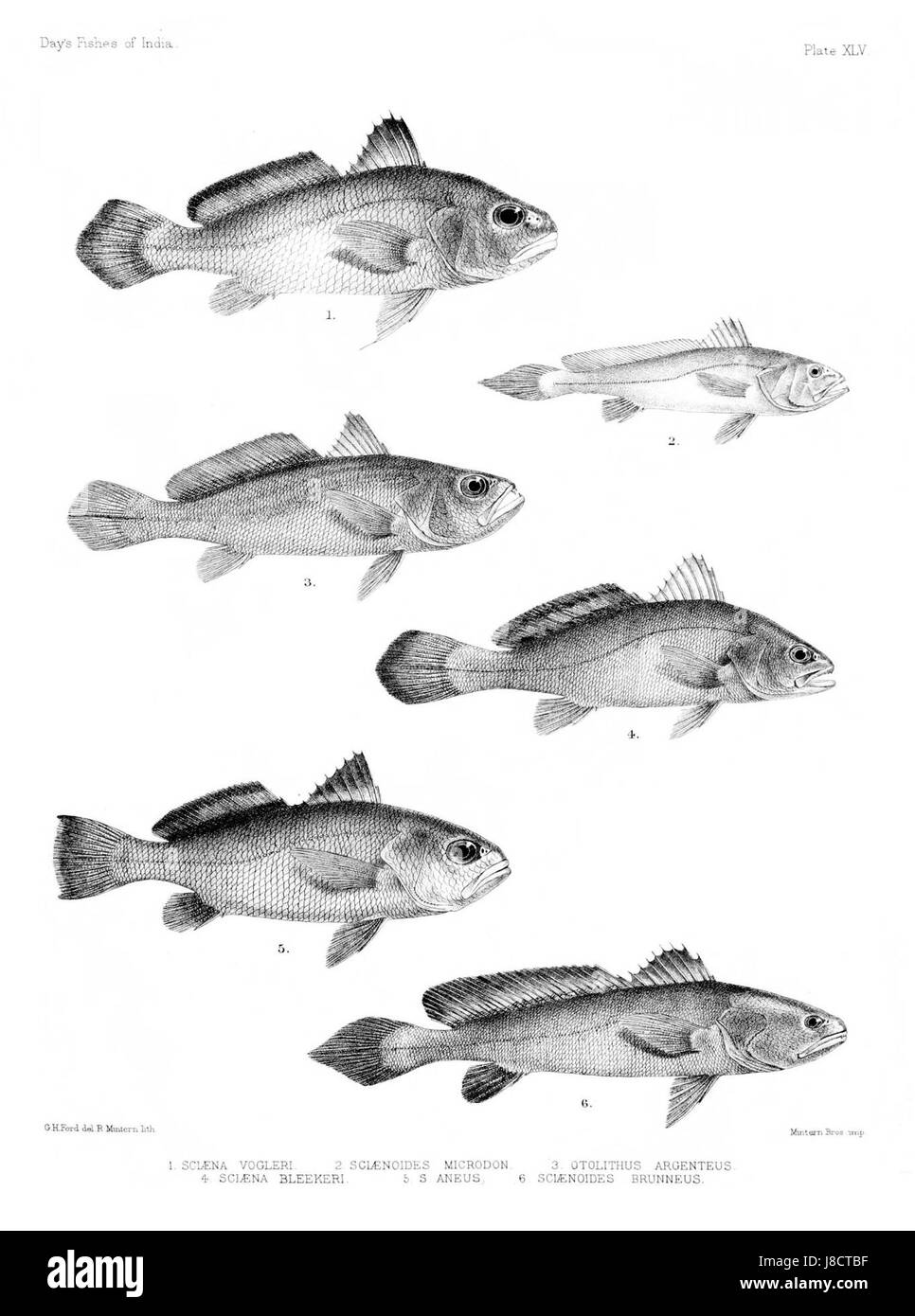 Scientific atlas Cut Out Stock Images & Pictures - Alamy