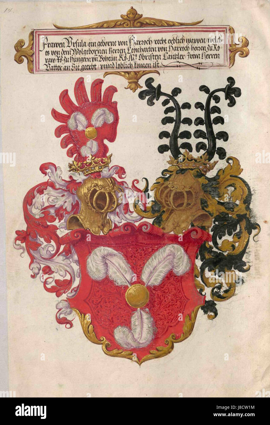 The Fugger Ehrenbuch (Fugger Honor Book) is a historical record ...