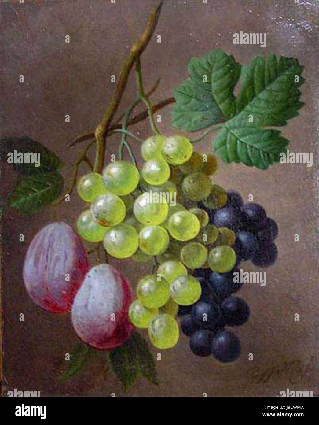 'A Still Life with Grapes and Plums' is a painting by Georgius van Os ...