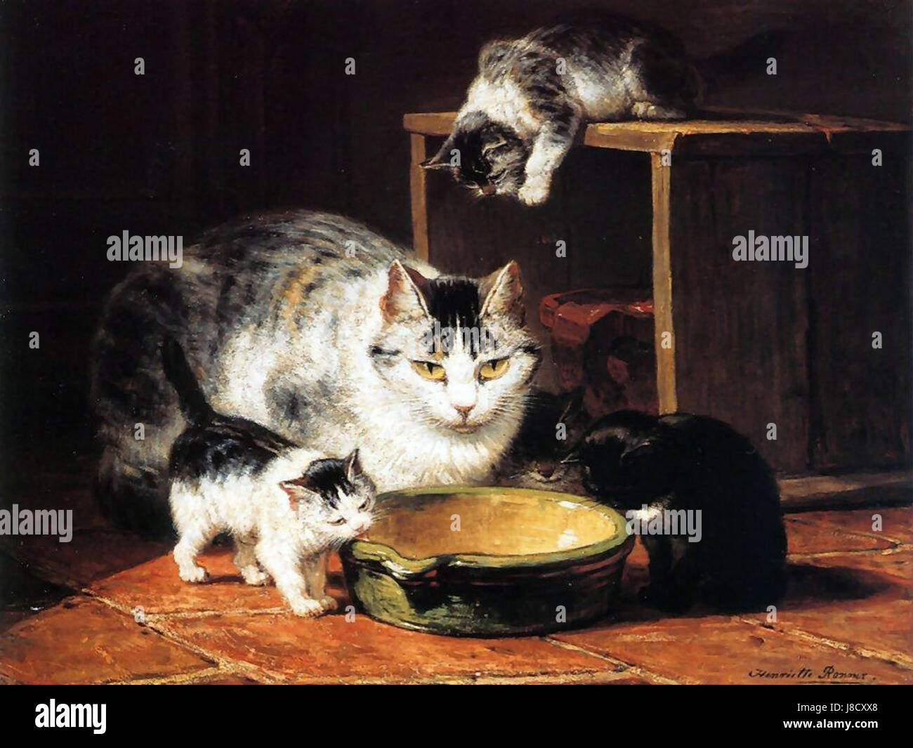 Henriette Ronner Knip aprole douner Stock Photo - Alamy