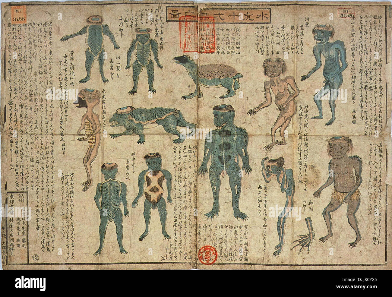 This illustrated guide provides detailed descriptions and depictions of ...