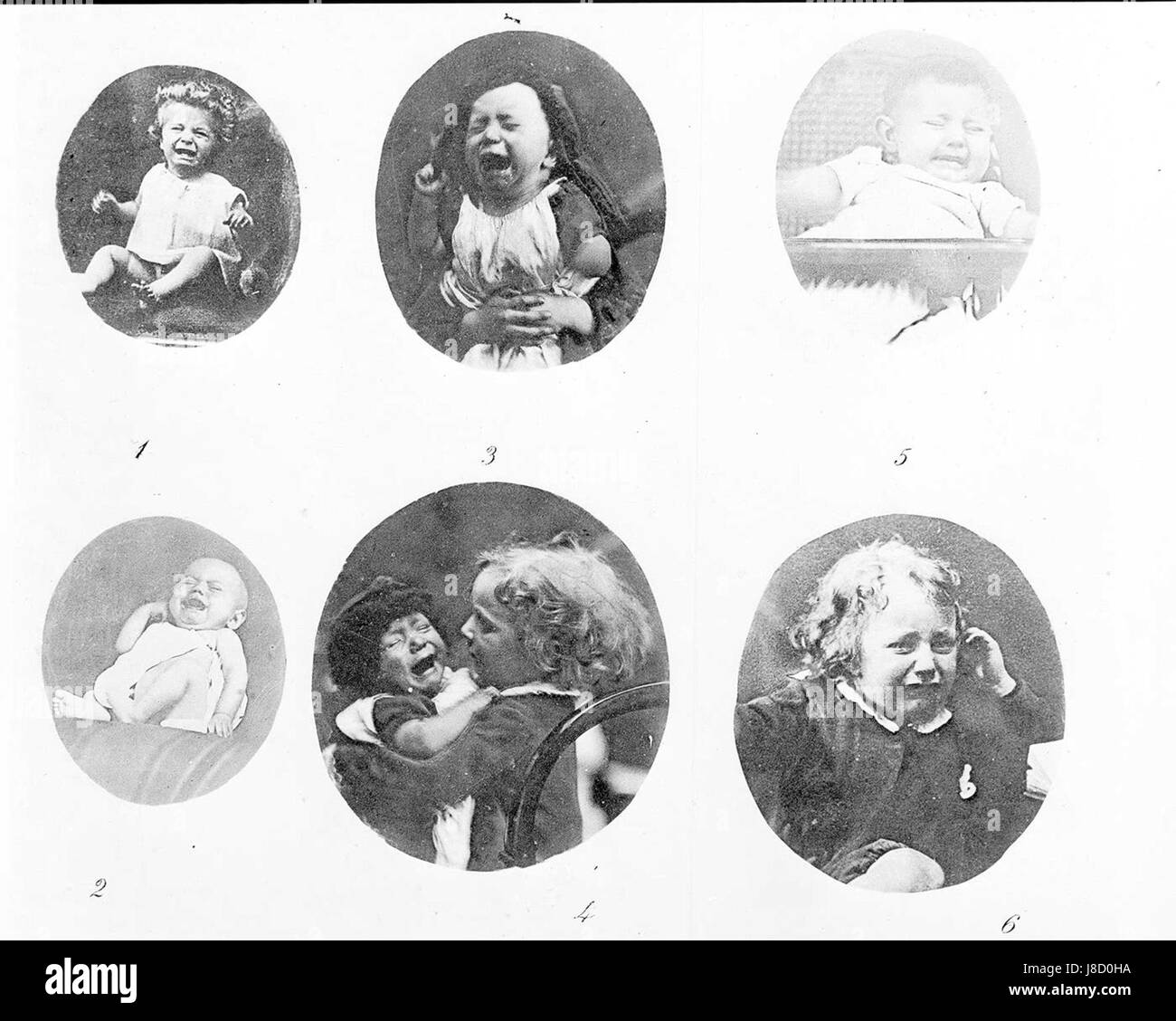 Illustration The Expression of Emotions in Man and Animals by Charles ...
