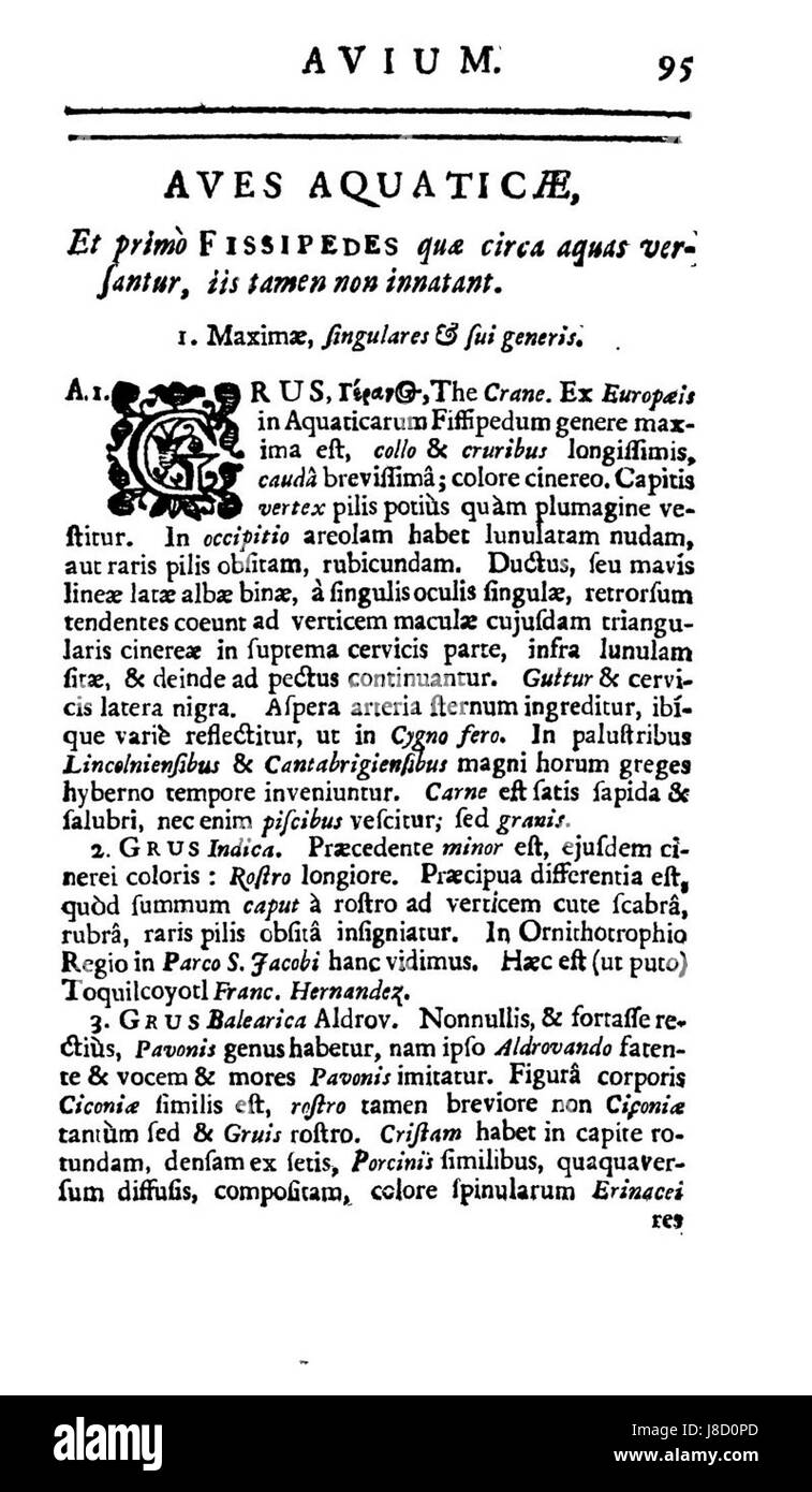 Piscium Black and White Stock Photos & Images - Alamy