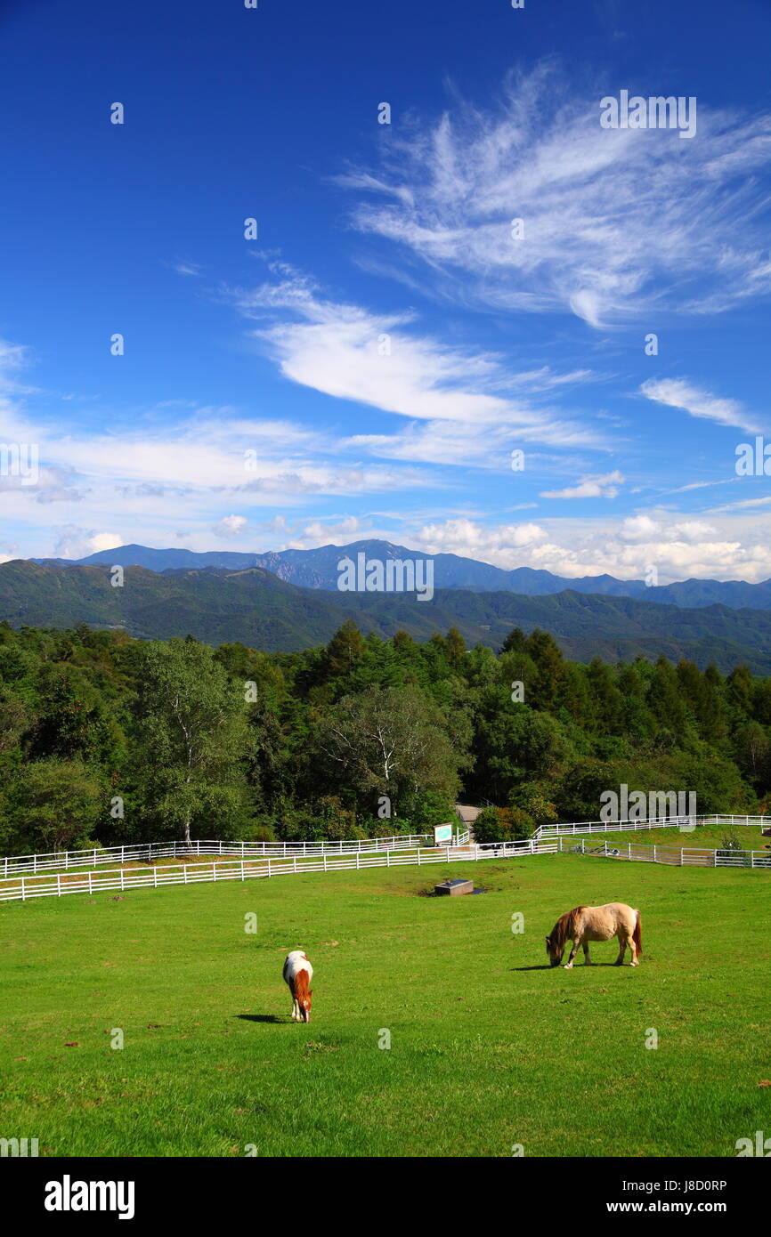 Japanese mountain agriculture hi-res stock photography and images - Alamy