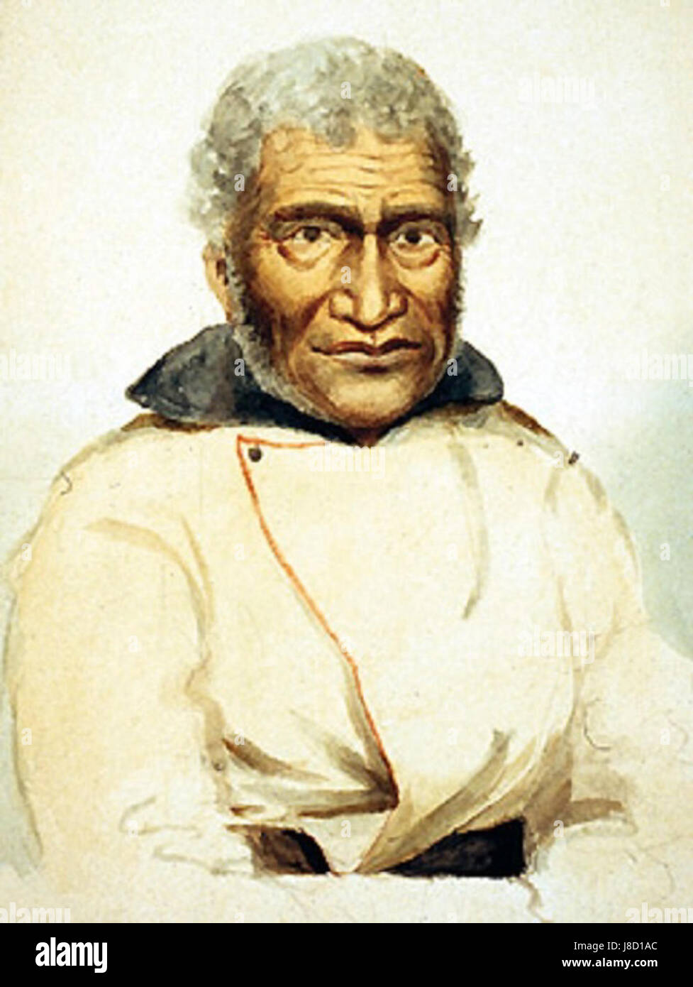 This detailed portrait of Kane Old Cox, a Sandwich Islander from the ...