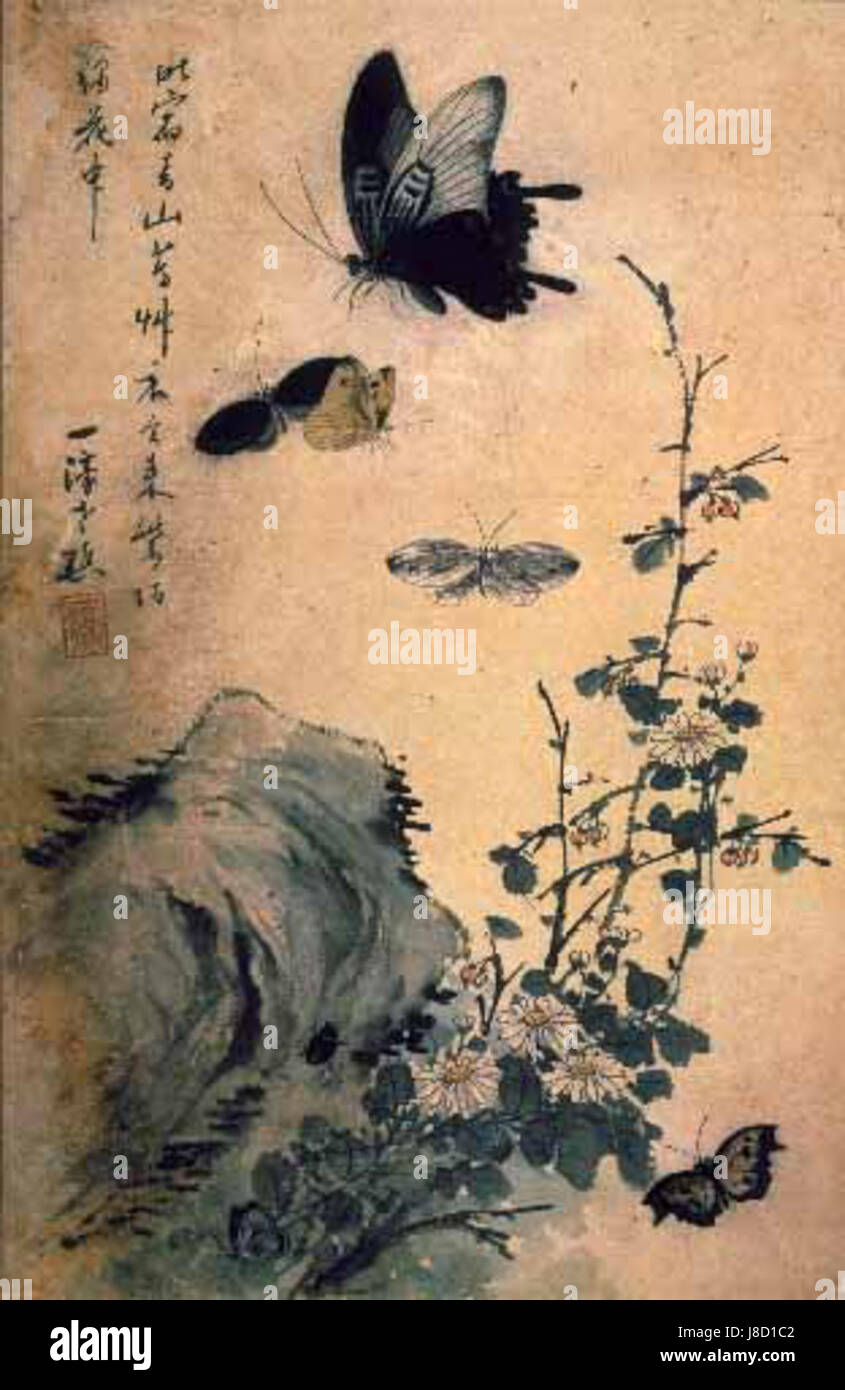 Intricate illustrations of butterflies hi-res stock photography and ...