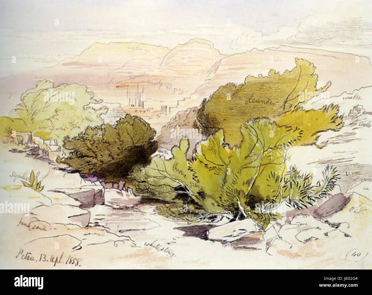 The 'Lear Petra Wadi Bushes Sketch' from 1858 likely depicts a scene ...