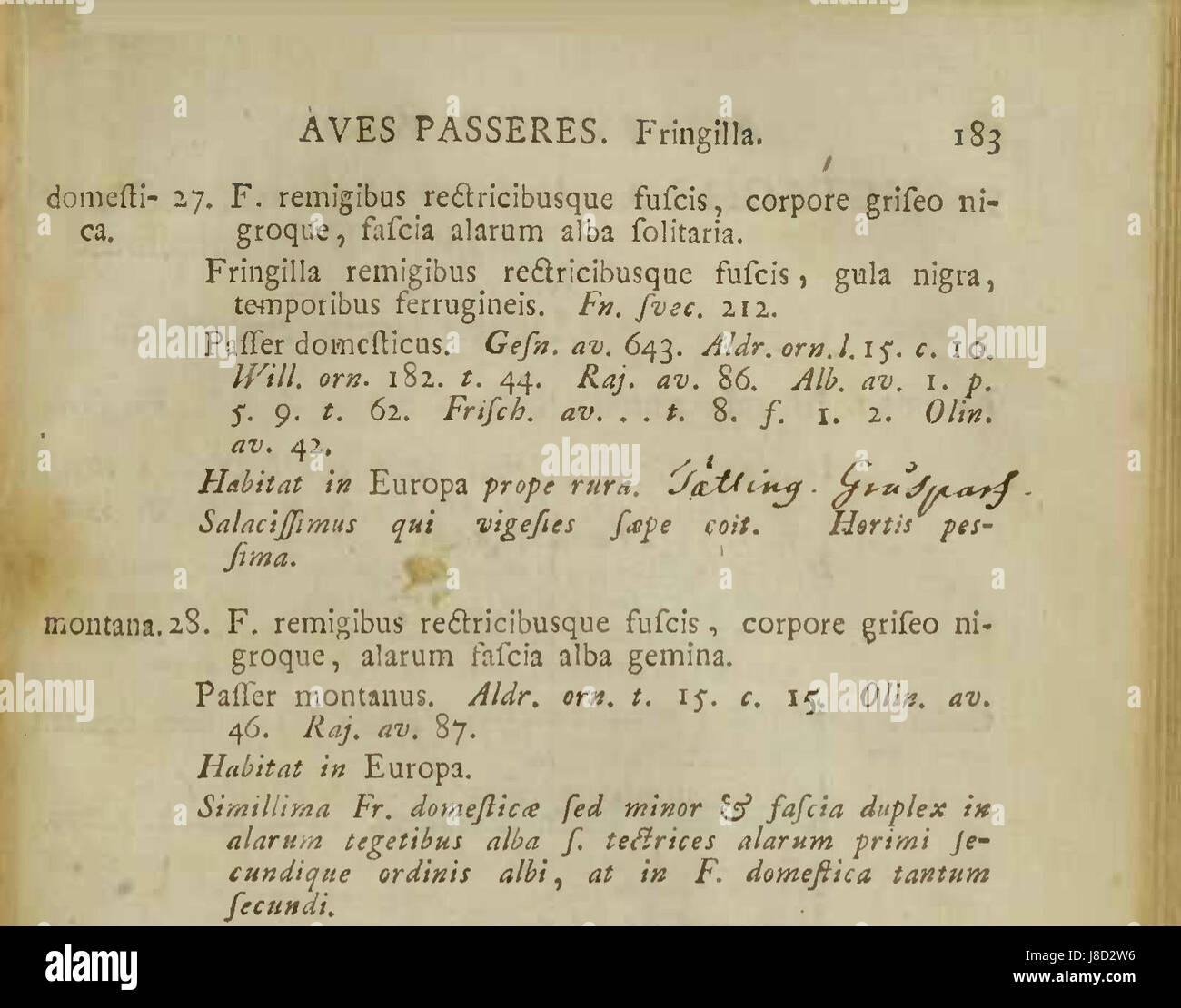 This refers to a page from the works of Carl Linnaeus, the Swedish ...