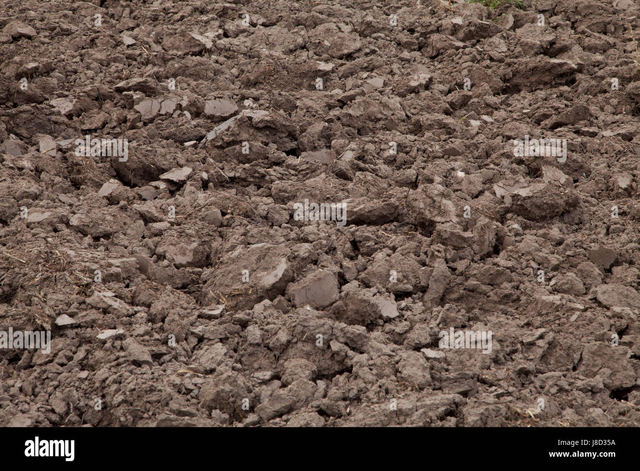 ground, soil, earth, humus, agriculture, farming, acre, land, realty ...