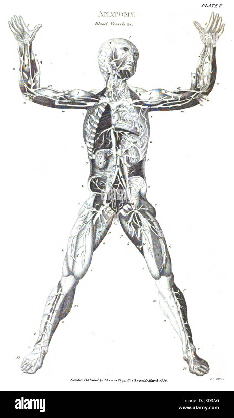 Body london Cut Out Stock Images & Pictures - Alamy