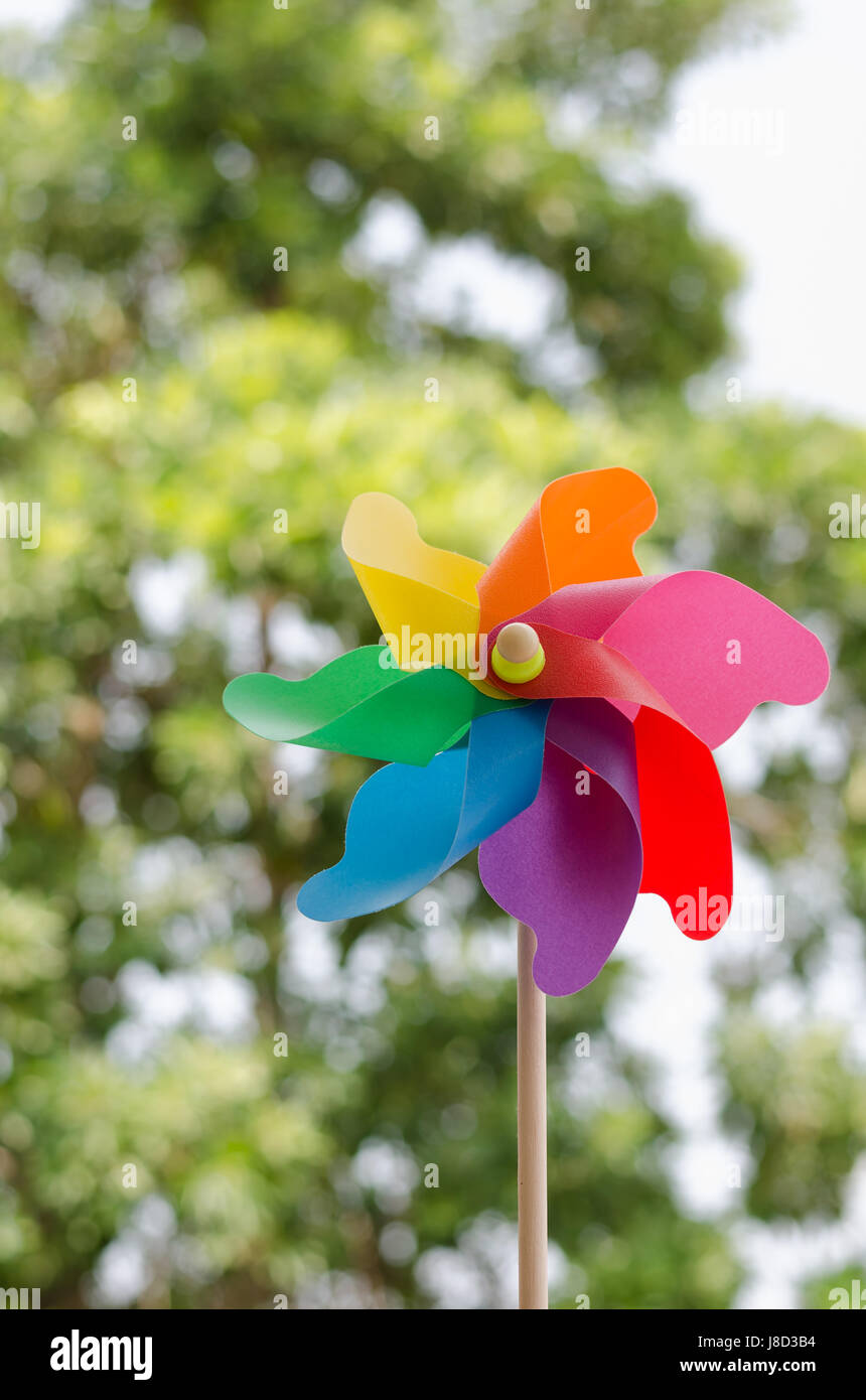 A Colorful Pinwheel with green tree background Stock Photo - Alamy