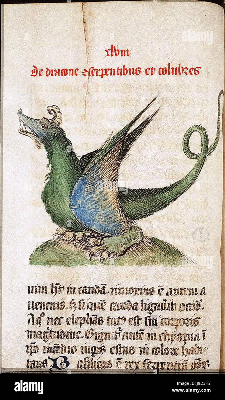 Liber floridus map hi-res stock photography and images - Alamy