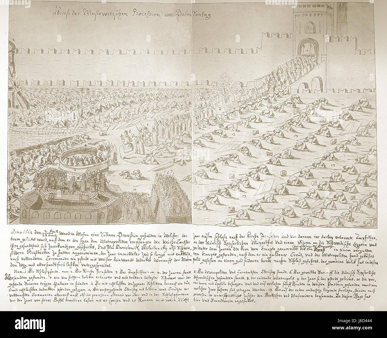 Meyerberg donkey walk Stock Photo - Alamy