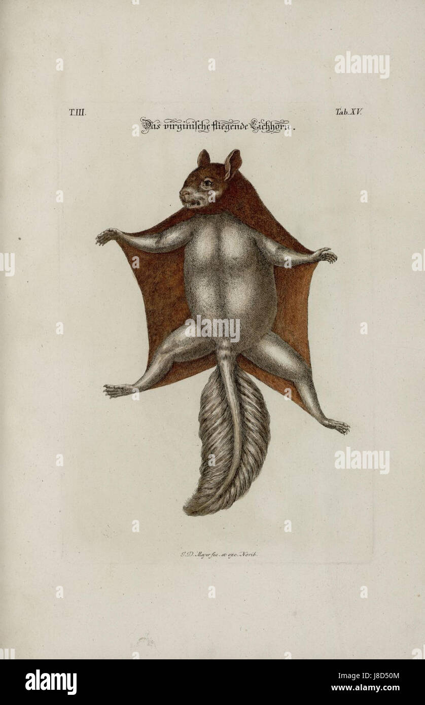 Meyer Zeit Vertreib 3 Tafel 15 Stock Photo - Alamy