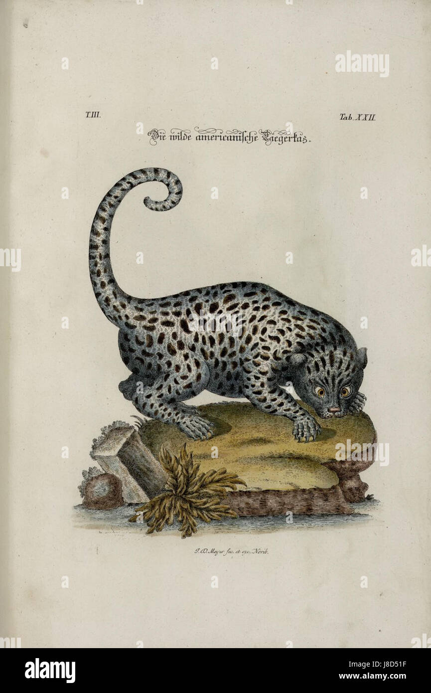 Meyer Zeit Vertreib 3 Tafel 22 is a German print from the 19th century ...