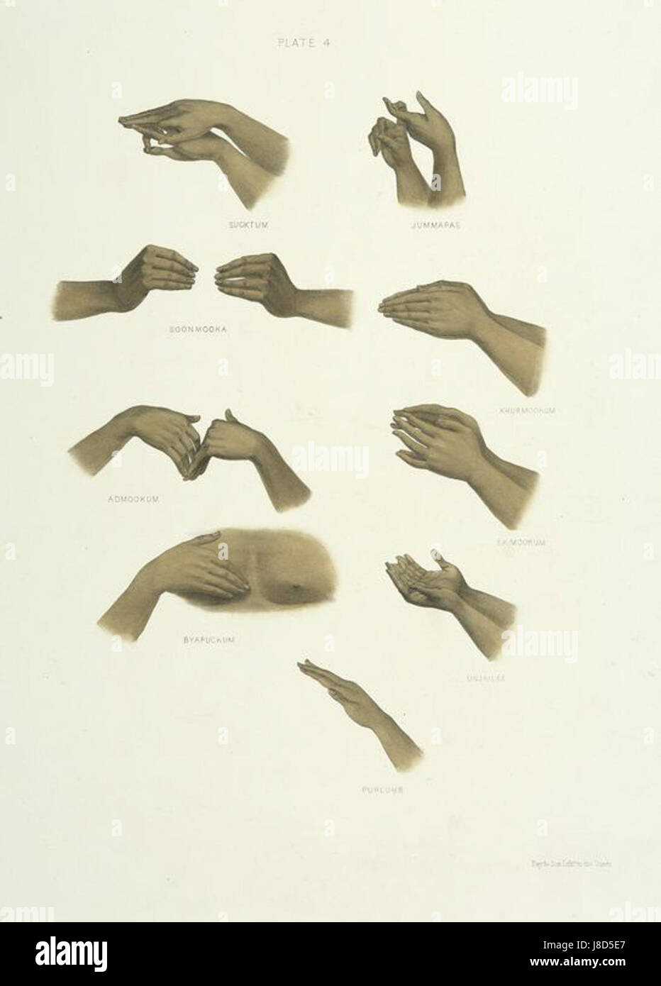 Sacred hand gesture mudra hi-res stock photography and images - Alamy