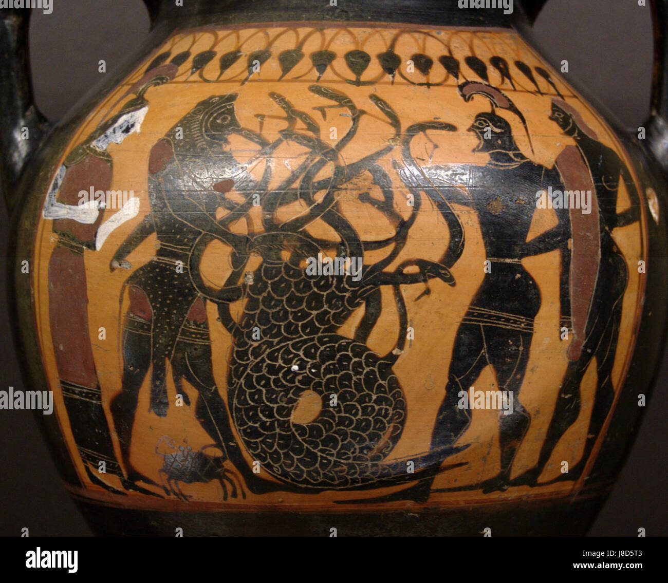 Lernaean hydra hi-res stock photography and images - Alamy