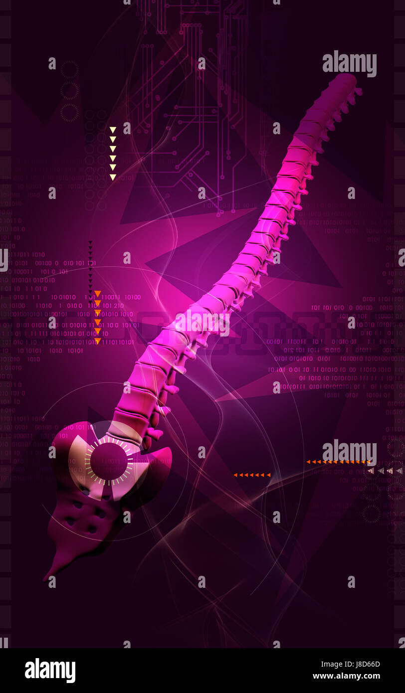 health, medicinally, medical, graphics, colour, illustration, hospital ...