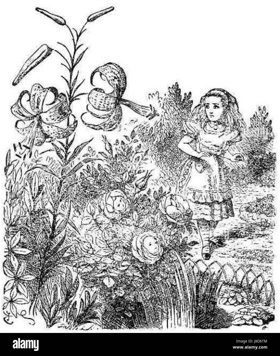 A floral frontispiece illustrating a book's introduction, featuring ...