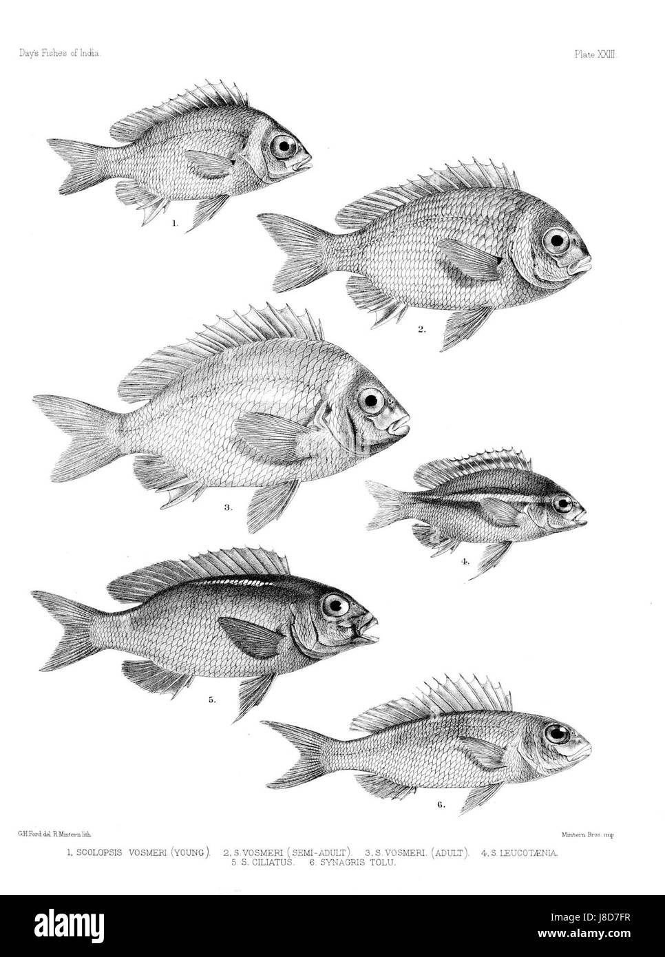 Scientific atlas Cut Out Stock Images & Pictures - Alamy