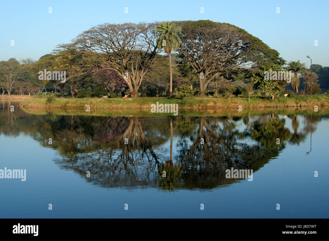 environment, enviroment, tree, trees, reflection, horizontal, sight ...