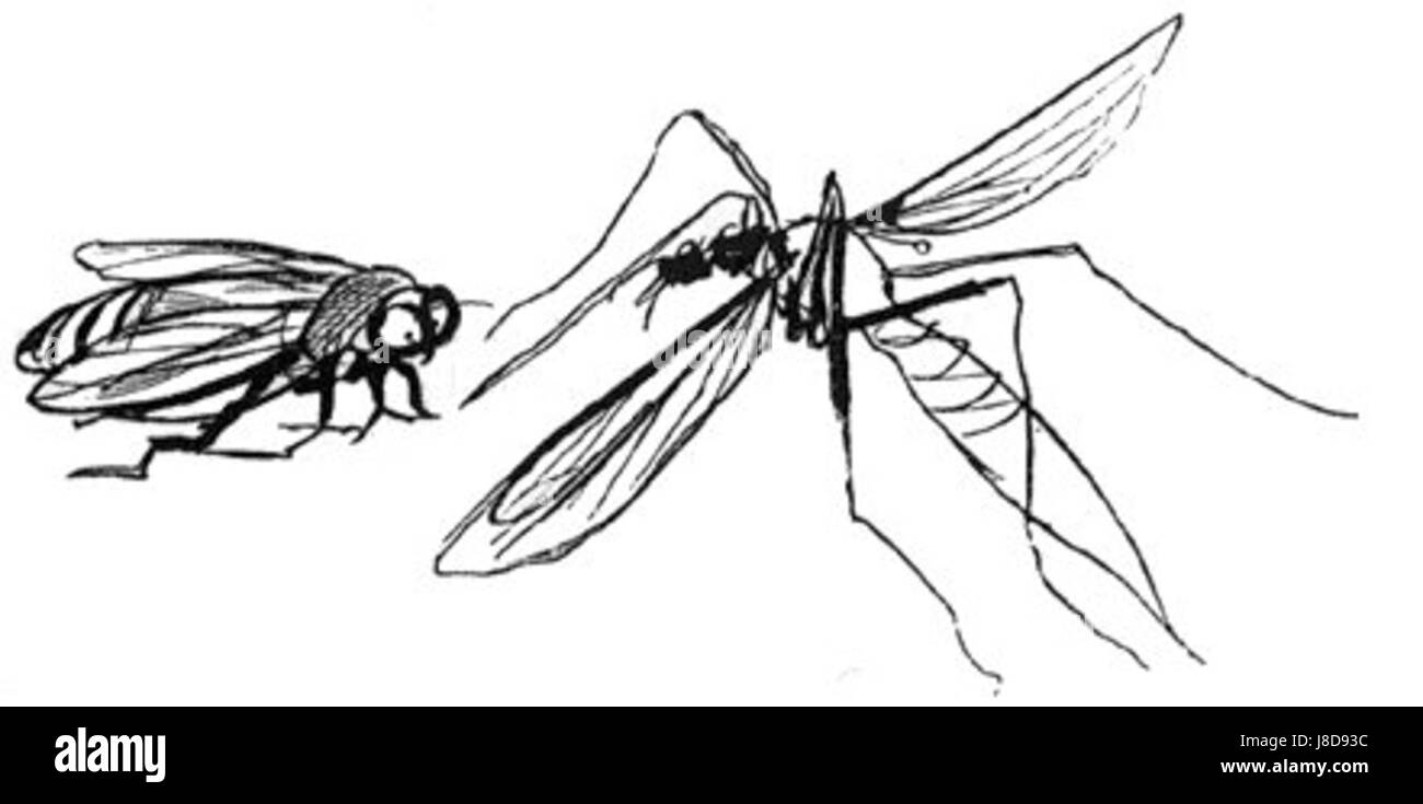 Fly the imagination Black and White Stock Photos & Images - Alamy