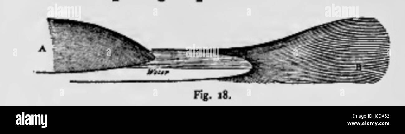 Humphry Repton was an English landscape designer known for his ...