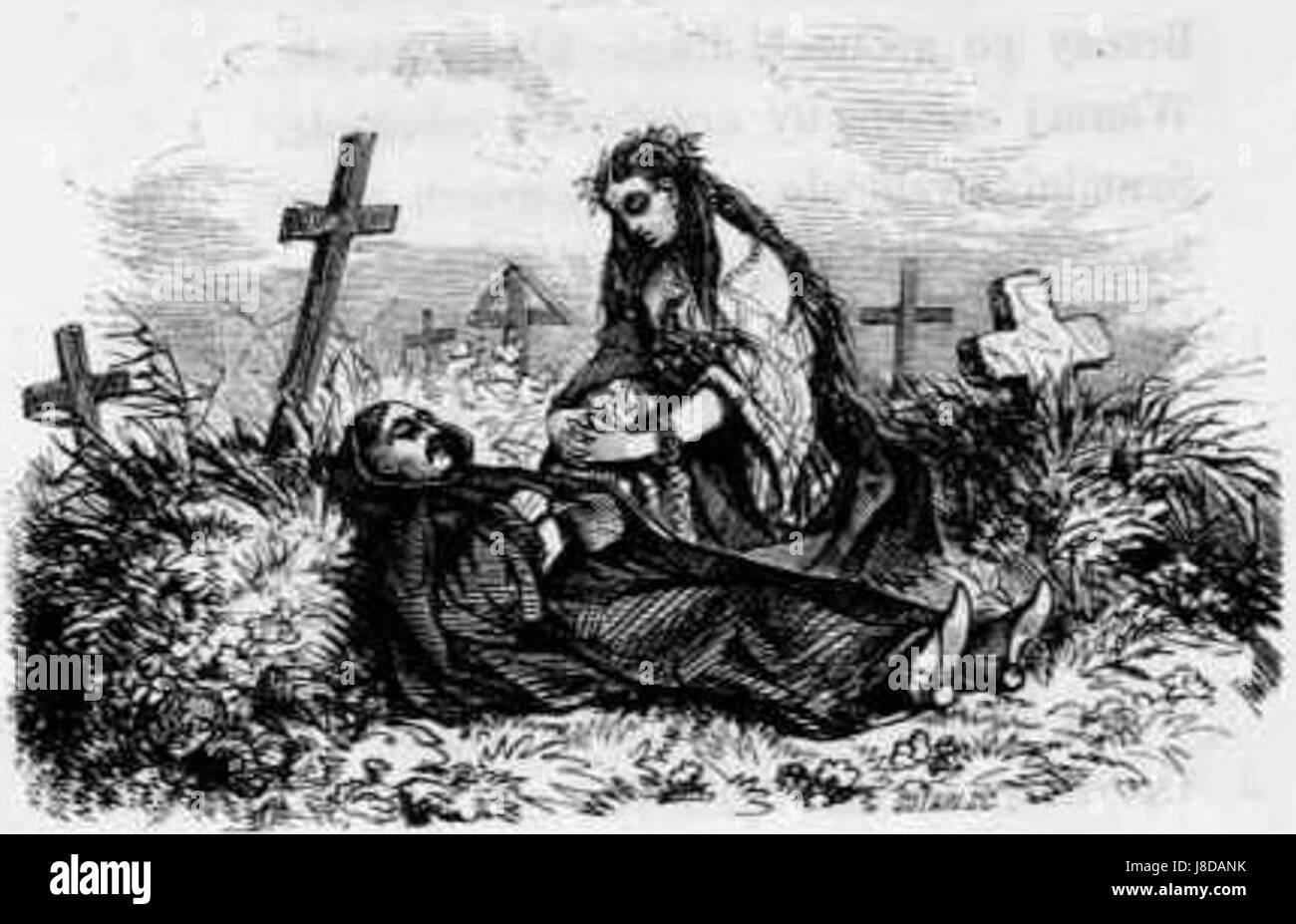 Ilustracja do str 33 Stock Photo - Alamy