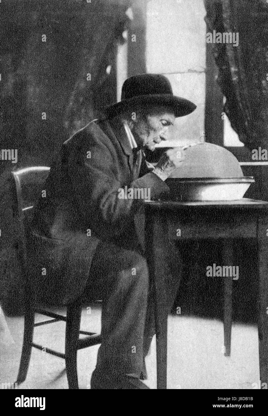 Educational exploration of insect physiology hi-res stock photography ...