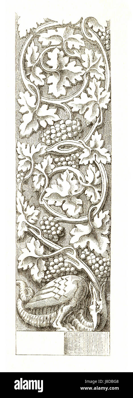 Field band Cut Out Stock Images & Pictures - Alamy