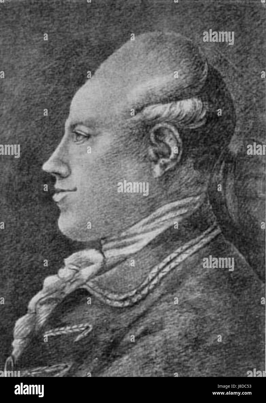 Johann Jacob Rieseâ€™s drawing of Goethe showcases a detailed ...