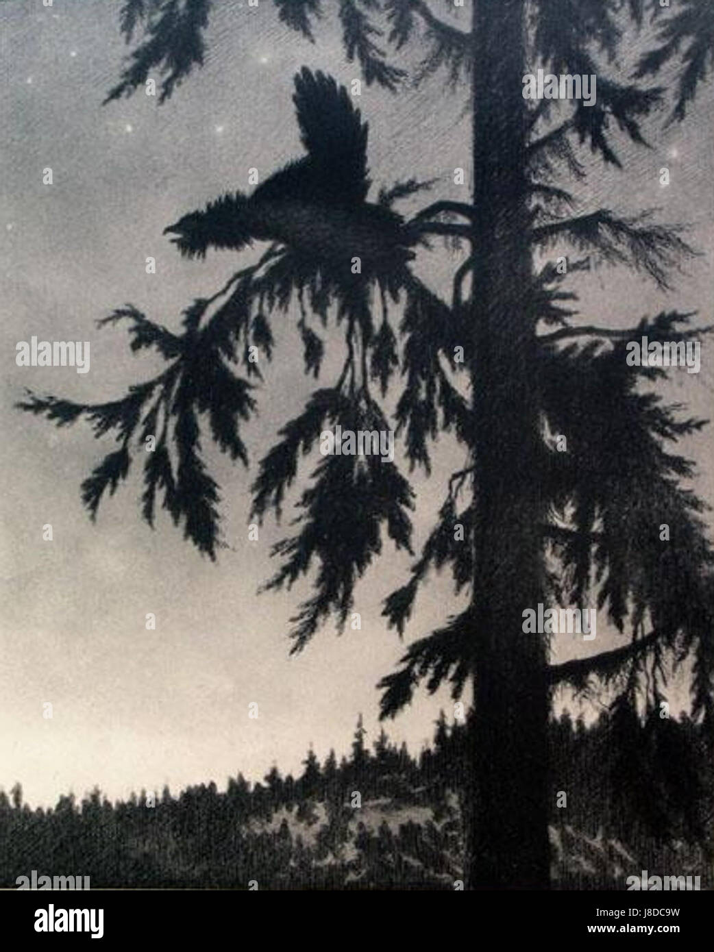 Tiur hi-res stock photography and images - Alamy