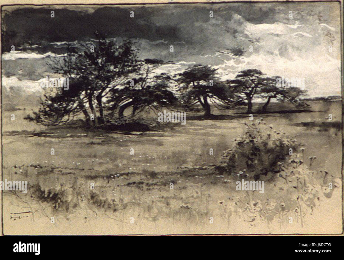 Harry fenn hi-res stock photography and images - Alamy