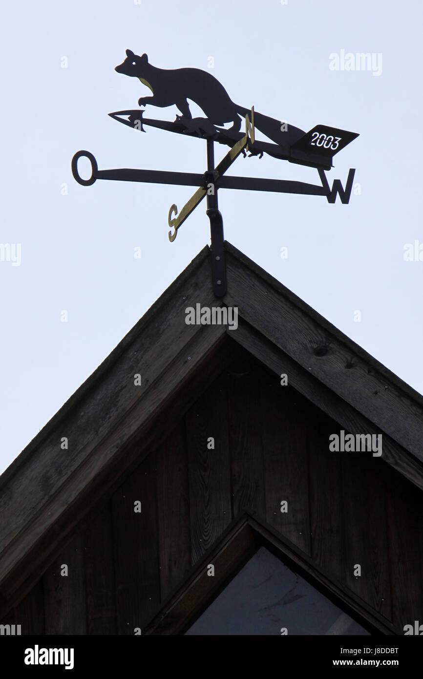 weathercock, wind direction, vane, marten, wind rose, arrow, house ...