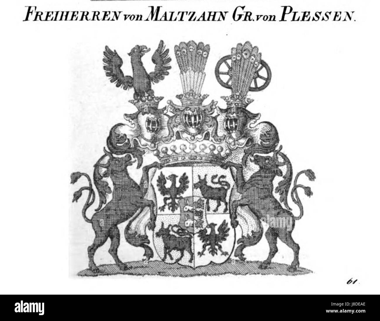 This reference pertains to the Maltzahn family, particularly the Gr von ...