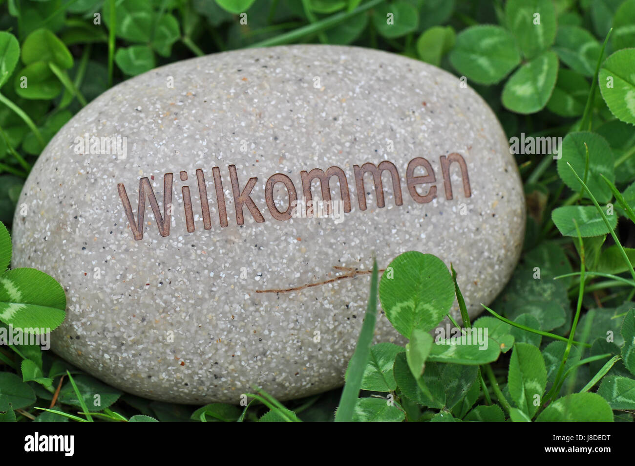 greeting, stone, clover, daisy, welcome, gravel, salute, sign, signal ...