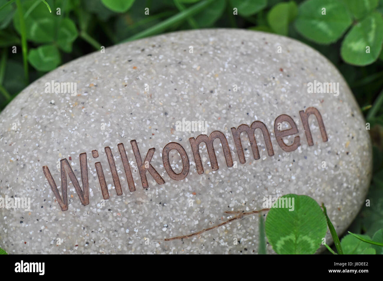 greeting, stone, clover, daisy, welcome, gravel, salute, sign, signal ...