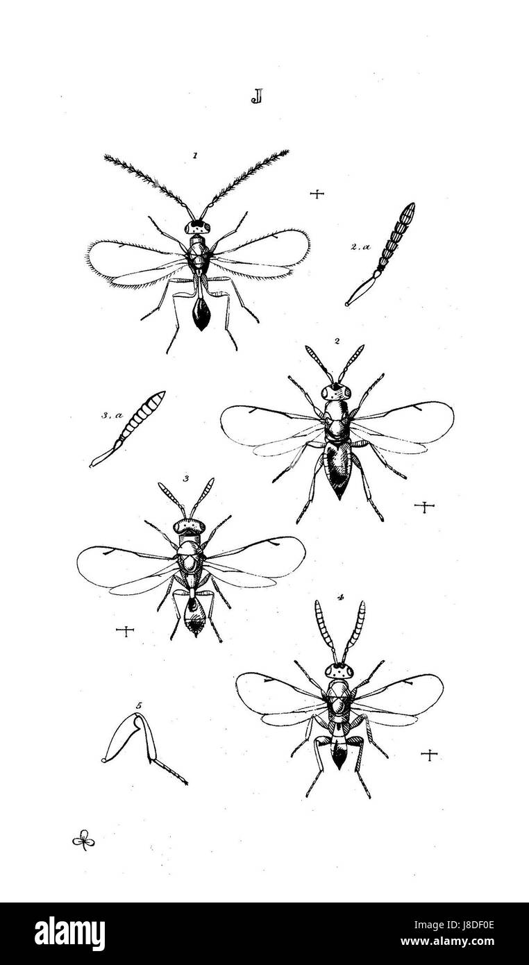 Work illustrates Black and White Stock Photos & Images - Alamy