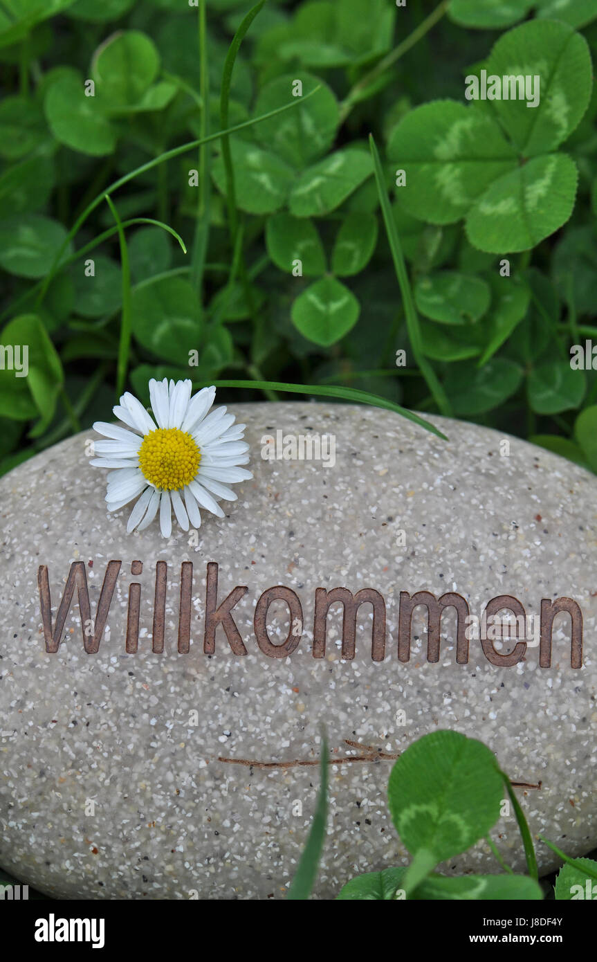 greeting, stone, clover, daisy, welcome, gravel, salute, sign, signal ...