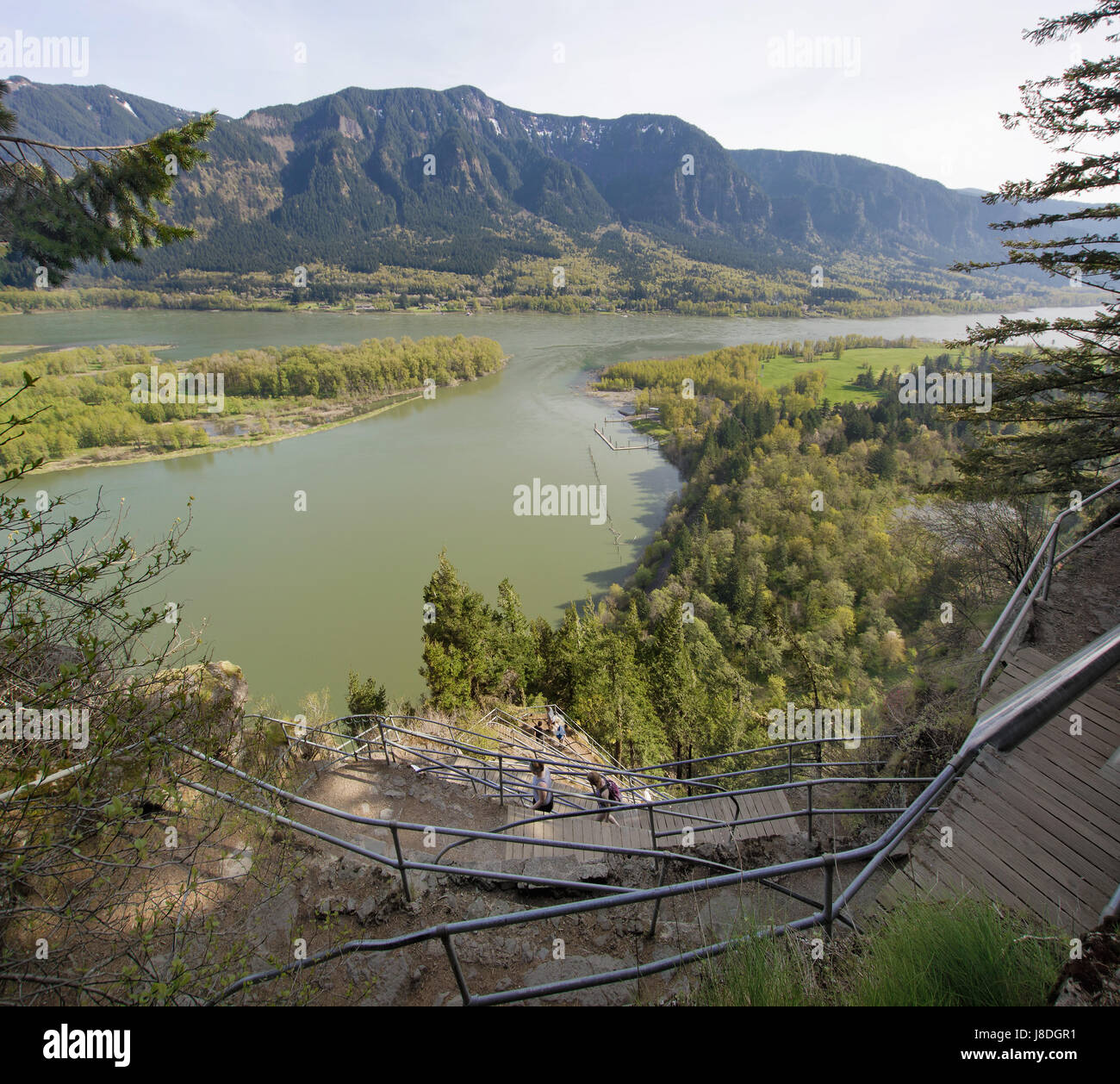 up, on, switchback, hiking, scenic, panoramic, trails, mountain, tree ...