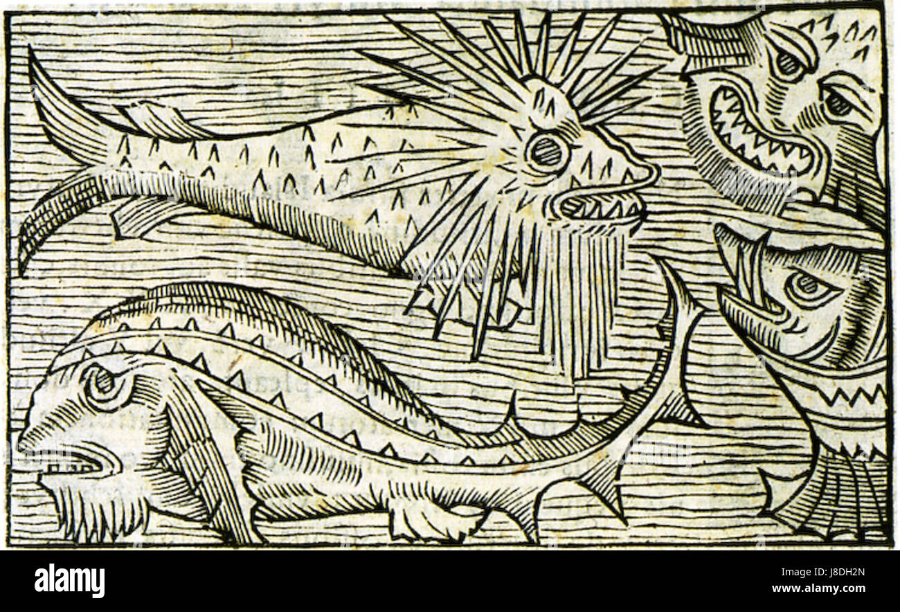 Monstres marins hi-res stock photography and images - Alamy