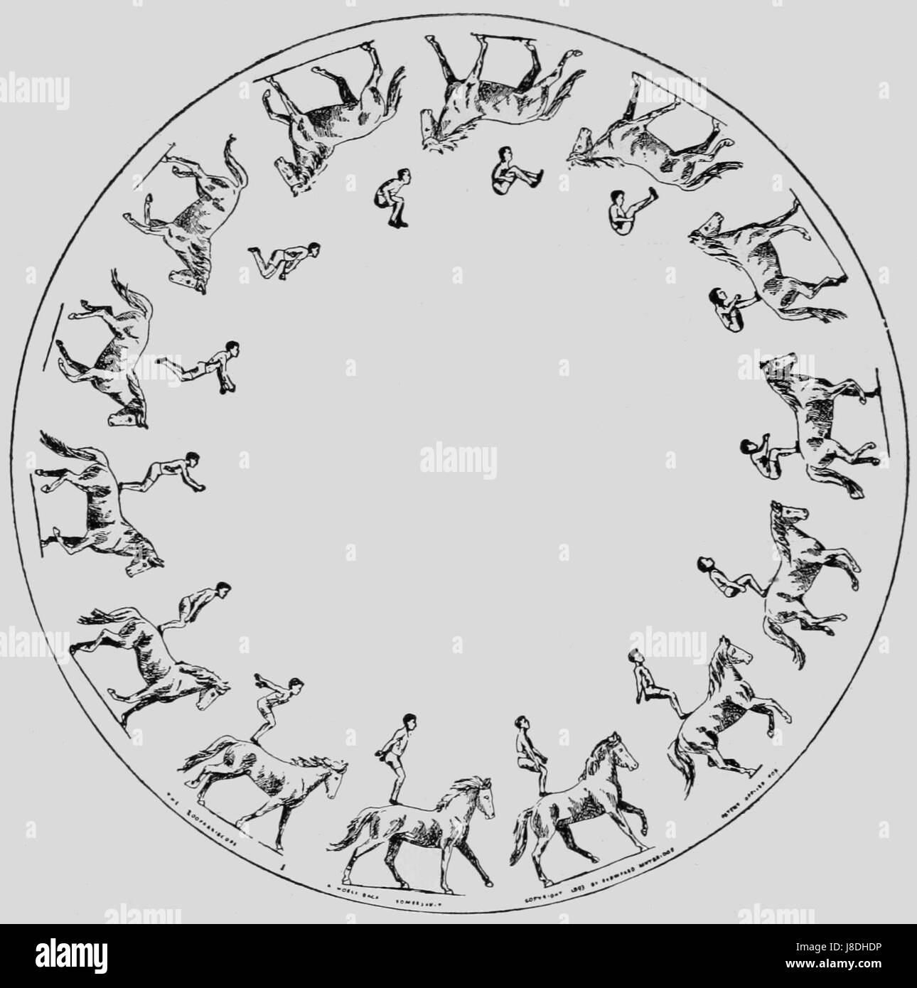 Descriptive Zoopraxography is a study of motion, focusing on an athlete ...