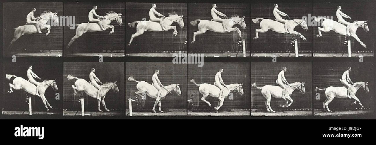 Eadweard Muybridge Jumping horse Stock Photo - Alamy