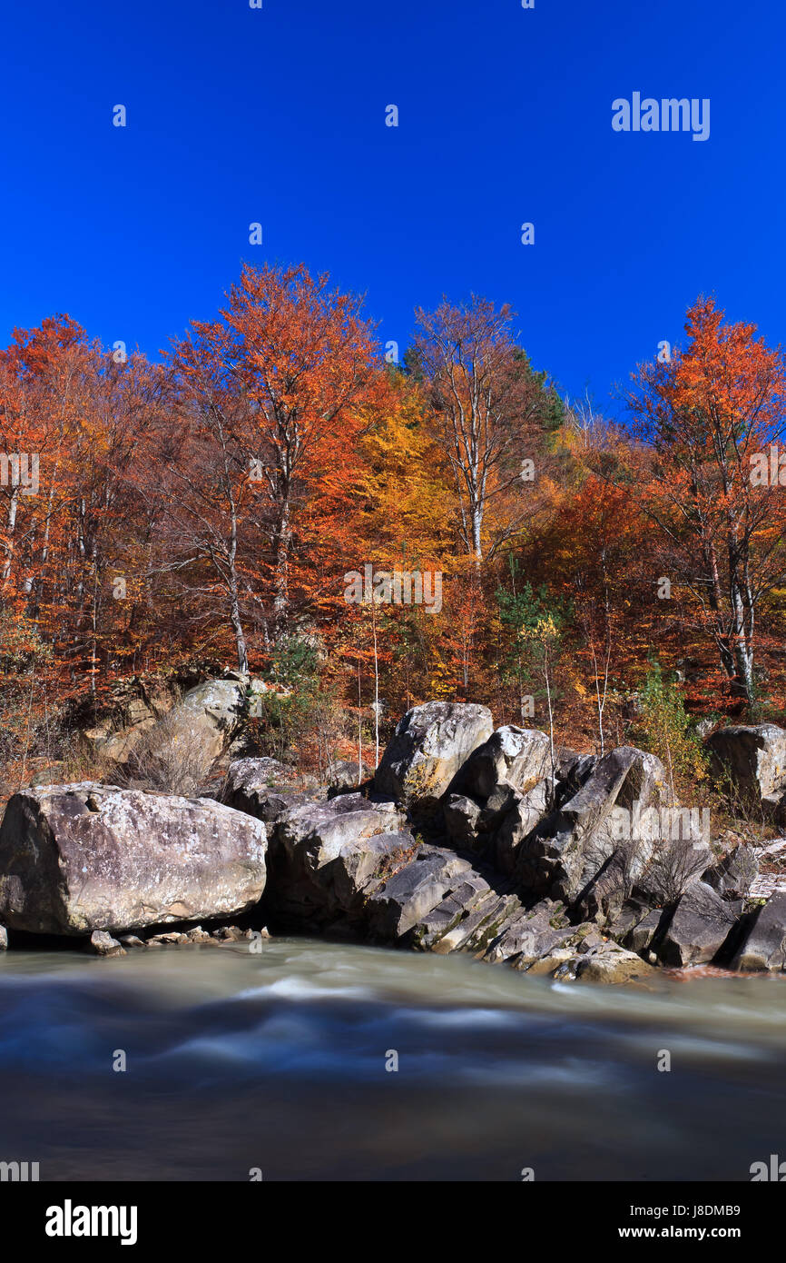 beautiful, beauteously, nice, environment, enviroment, colour, tree ...