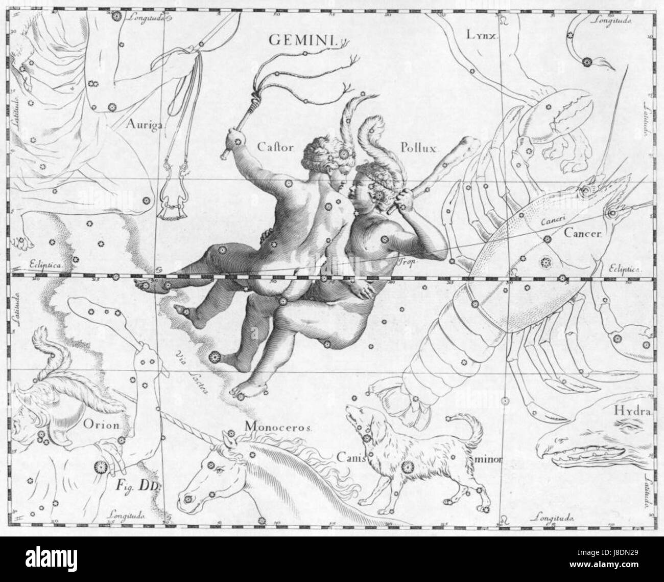 Gemini zodiac sign hi-res stock photography and images - Alamy