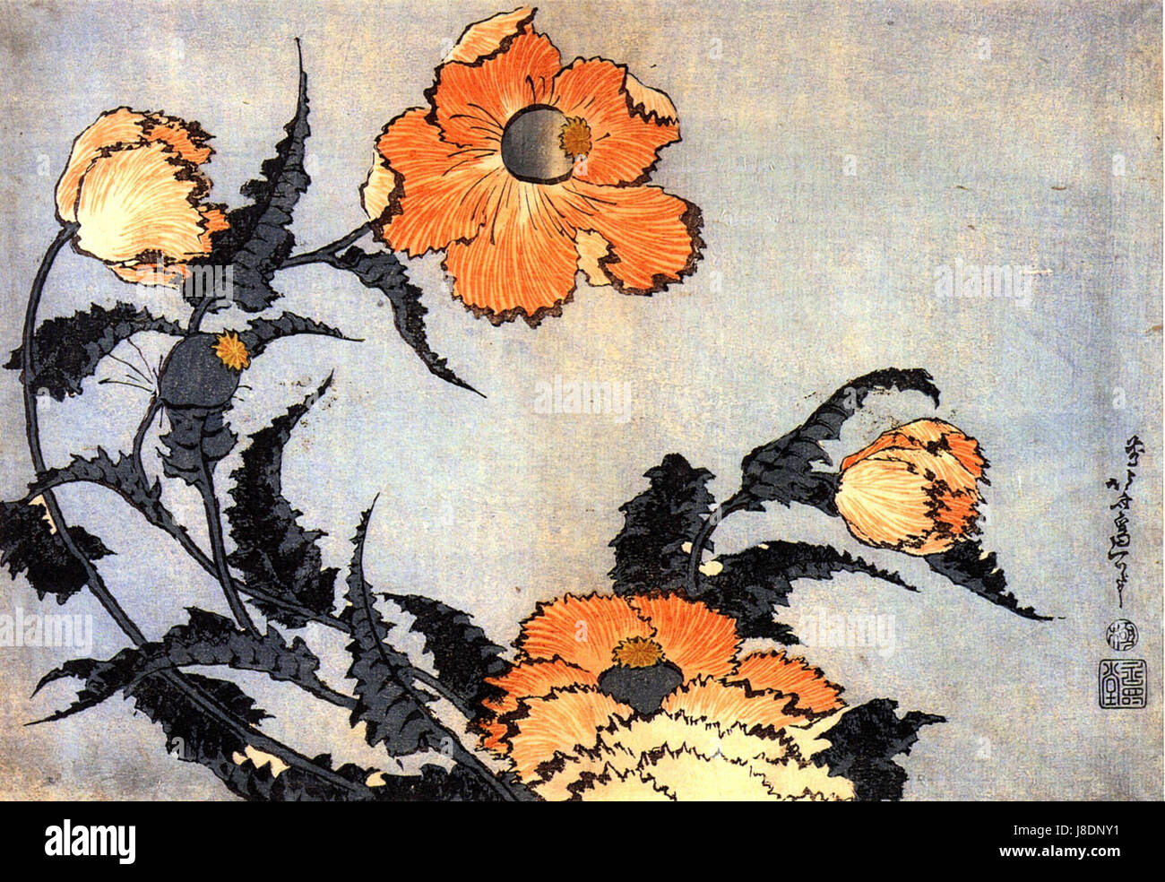 Katsushika hokusai flower hi-res stock photography and images - Alamy